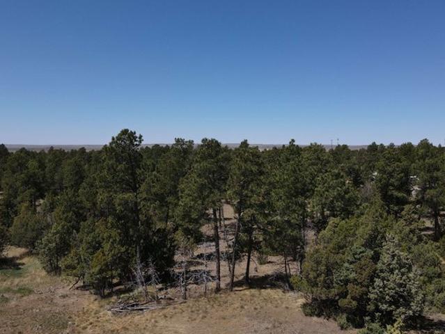 Pine Ave, Upton, WY 82730