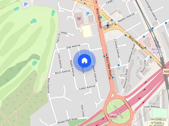 Pine Avenue, Manchester, M45