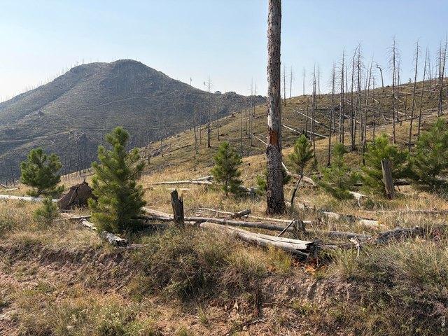 Pine Acres Rd, Bellvue, CO 80512