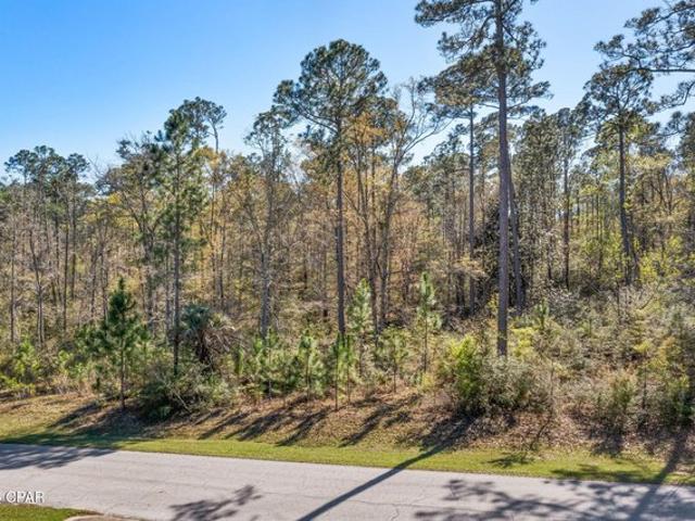 Pine Bluff Dr, Chipley, FL 32428