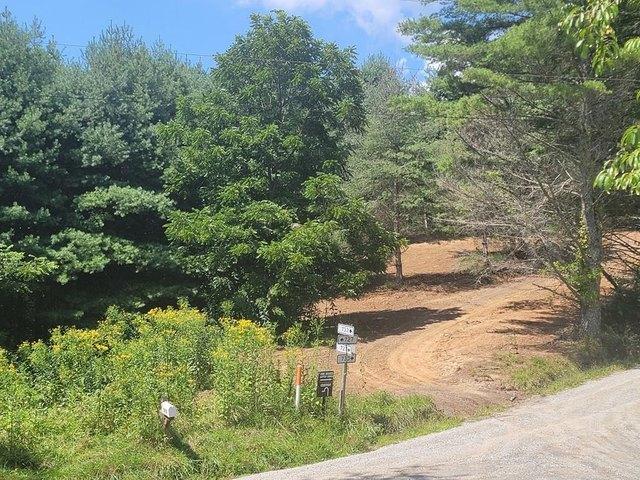 Pine Branch Rd Lot 0, Mouth Of Wilson, VA 24363