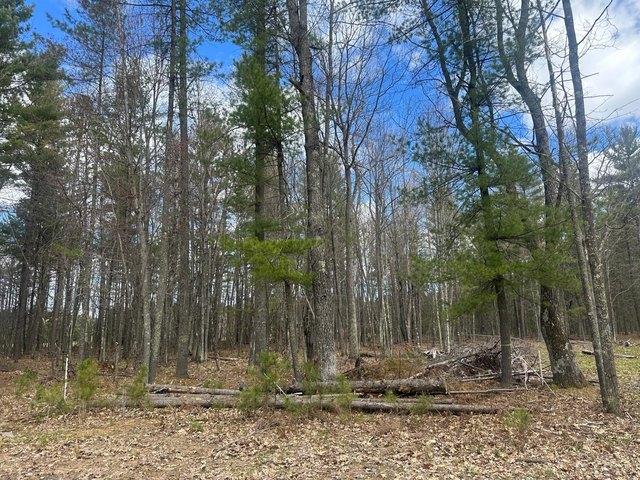 Pine Breeze Way Lot 5, Eagle River, WI 54521