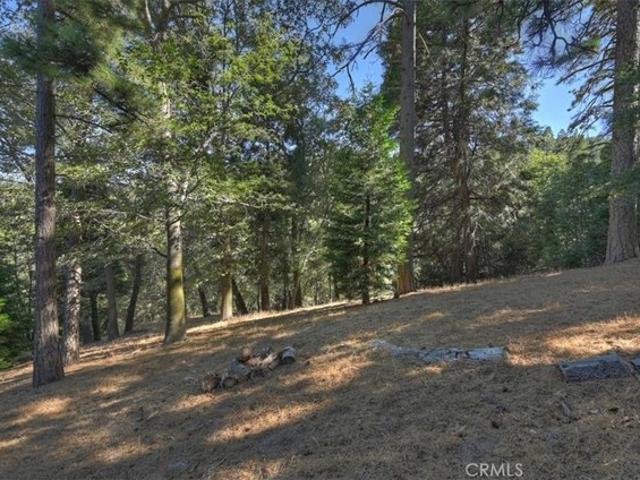 Pine, Cedarpines Park, CA 92322