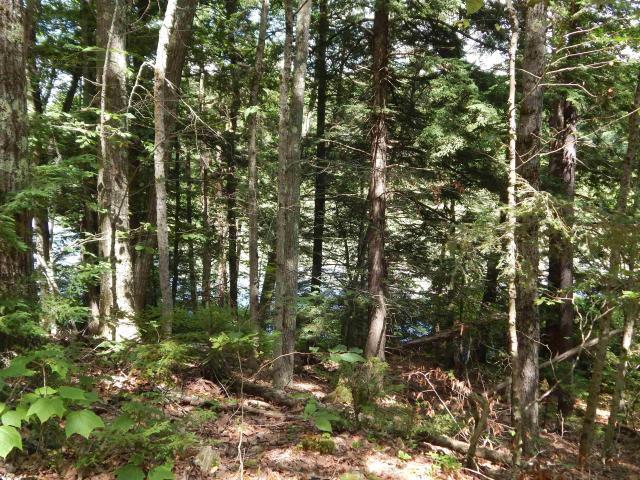 Pine Cliff Road