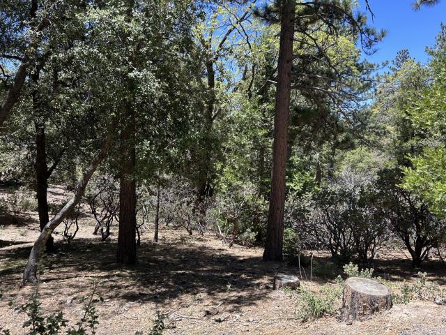 Pine Cove Rd, Idyllwild, CA 92549 | MLS #2010 | Compass