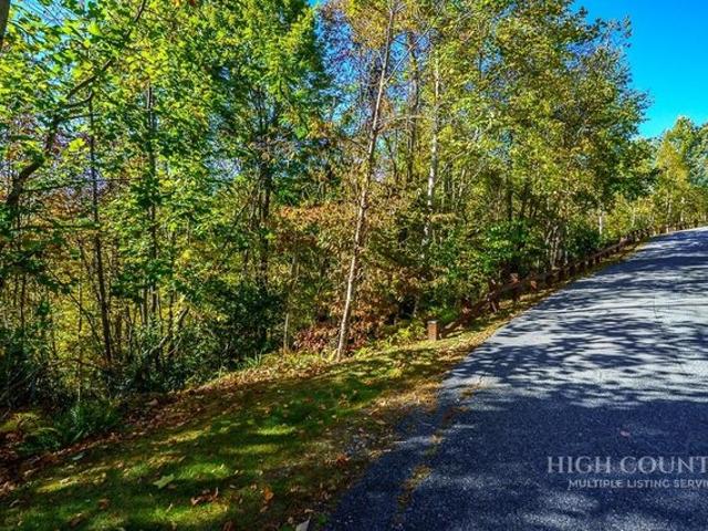 Pine Cove Tbd Rd Lot 39, Elk Park, NC 28622