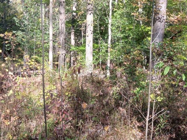 Pine Creek Dr