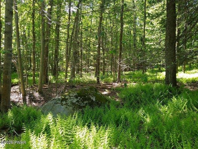 Pine Creek Rd, Hawley, PA 18428