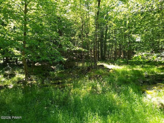 Pine Creek Road