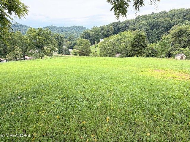 Pine Crest Dr, Maynardville, TN 37807