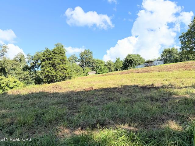 Pine Crest Drive, Maynardville, TN 37807