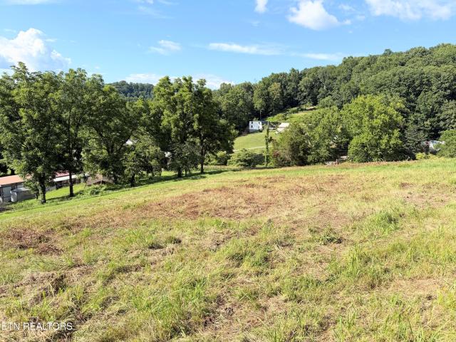 Pine Crest Drive, Maynardville, TN 37807