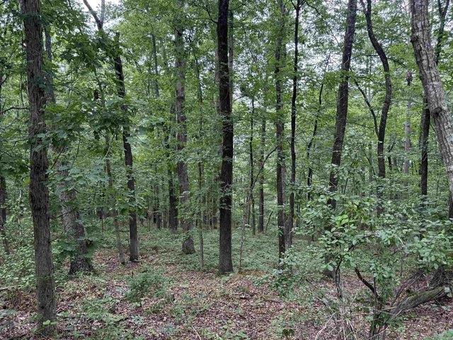 Pine Dr, Heber Springs, AR 72543