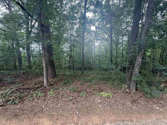 Pine Dr, Heber Springs, AR 72543