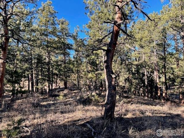 Pine Dr, Lyons, CO 80540