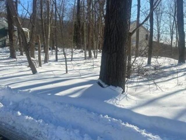 Pine Dr, Liberty Township, Plot For Sale