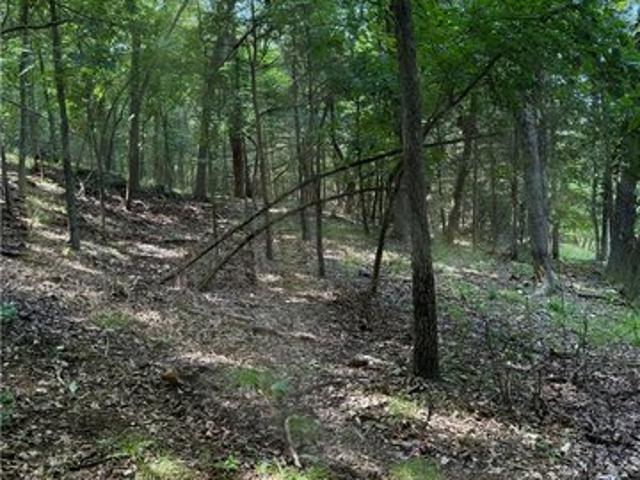 Pine Dr Lot 40, Garfield, AR 72732