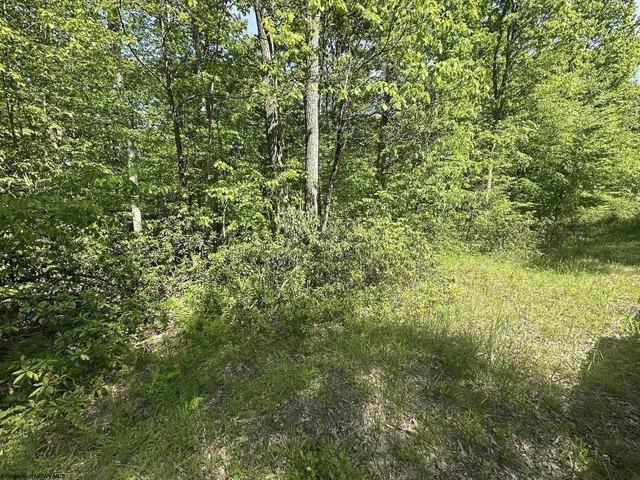 Pine Dr Lot 65, Terra Alta, WV 26764