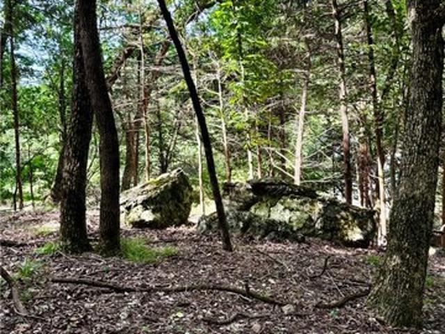 Pine Dr Lot 39, Garfield, AR 72732