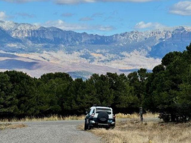 Pine Dr Lot G13, Ridgway, CO 81432