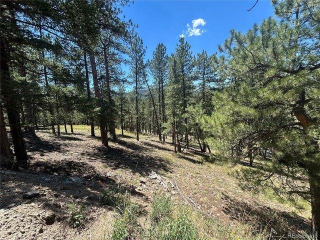 Pine, Evergreen, CO 80439