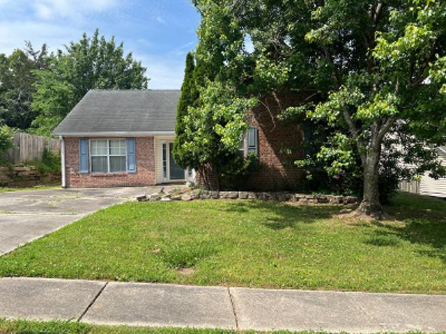 Pine Forest Ln