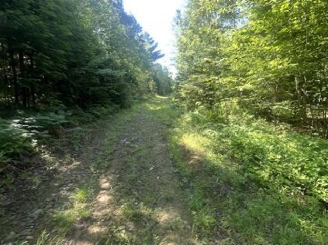 Pine Grove Ln, Lagrange, Plot For Sale