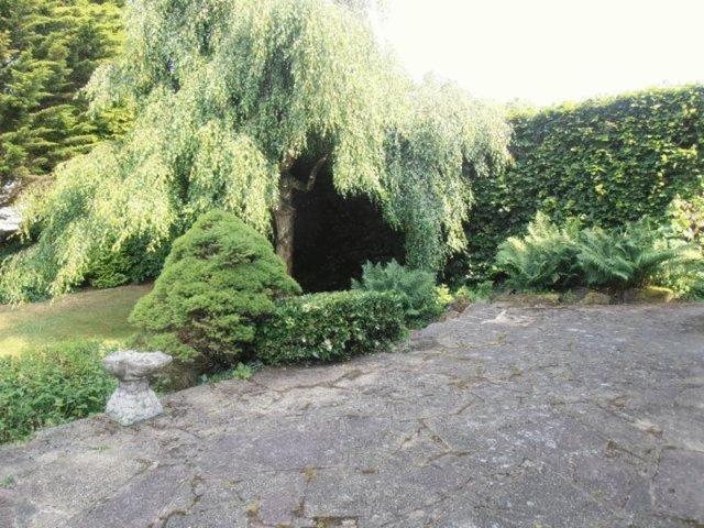 Pine Hill, Epsom