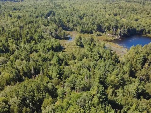 Pine Hill Ln, Blue Hill, ME 04614