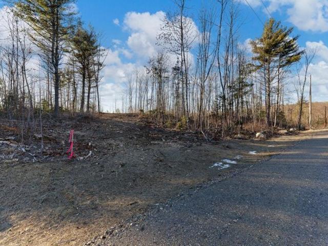 Pine Hill Rd Lot,palermo, Plot For Sale