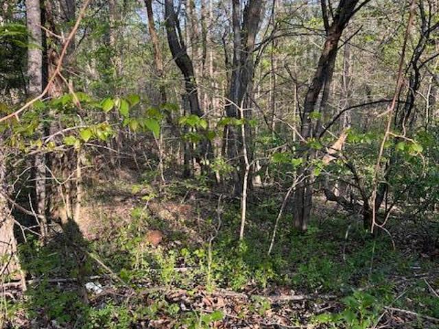 Pine Hollow Rd, Jacksboro, TN 37757