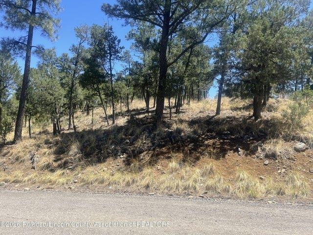 Pine Knot Trl Lot 5, Alto, NM 88312