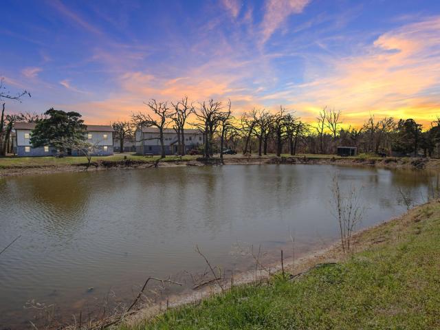 Pine Lake #5