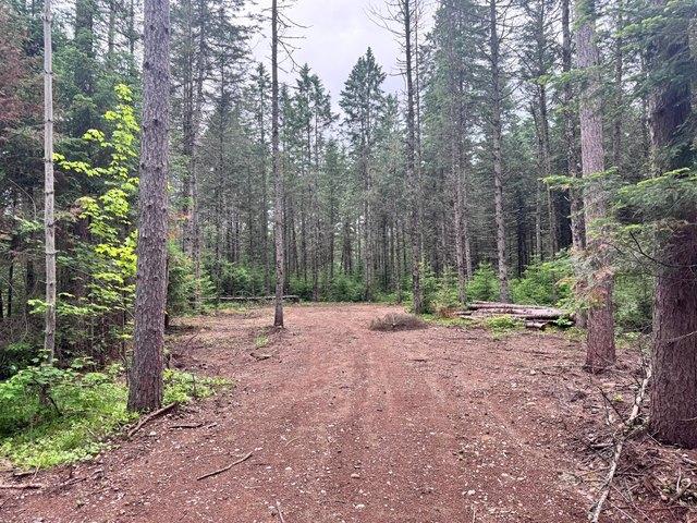 Pine Lake Rd Lot 2, Minocqua, WI 54548