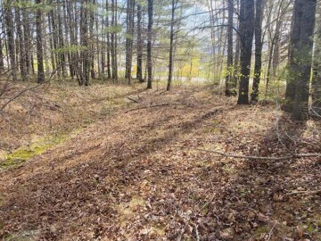 Pine Ledge Rd #,bangor, Plot For Sale