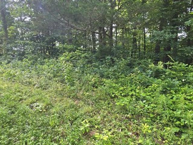 Pine Ln Lot 18, Maynardville, TN 37807