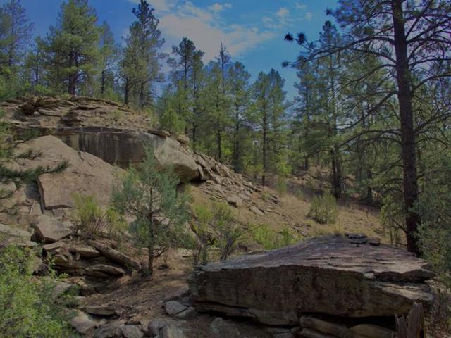 Pine Ln Units 47 & 54, Weston, CO 81091