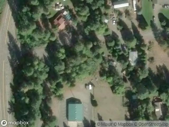 Pine Ln