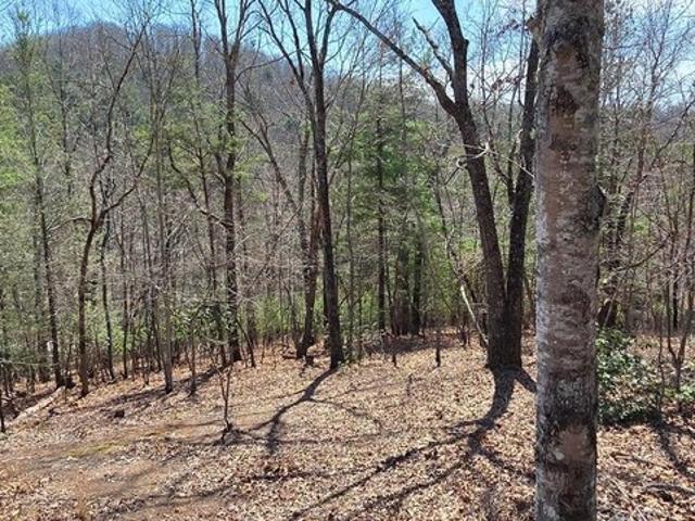 Pine Log Cir Lot 24, Warne, NC 28909