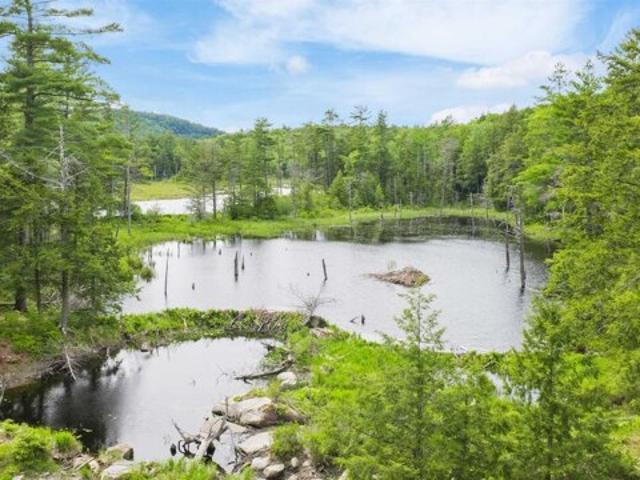 Pine Point Rd, New Durham, Plot For Sale