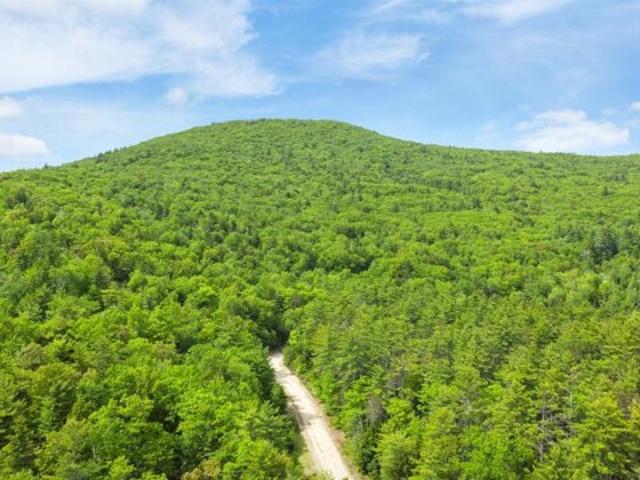 Pine Point Rd, New Durham, Plot For Sale