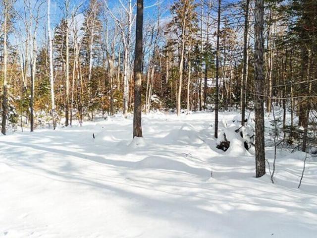 Pine Rd, Carrabassett Valley, Plot For Sale