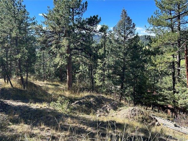 Pine Rd, Evergreen, CO 80439
