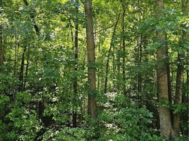 Pine Rd Lot 408, Lexington, NC 27292