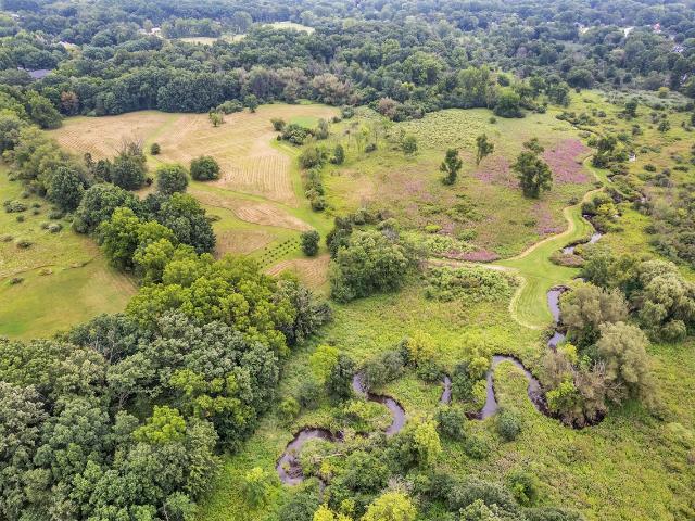 Pine Ridge Court