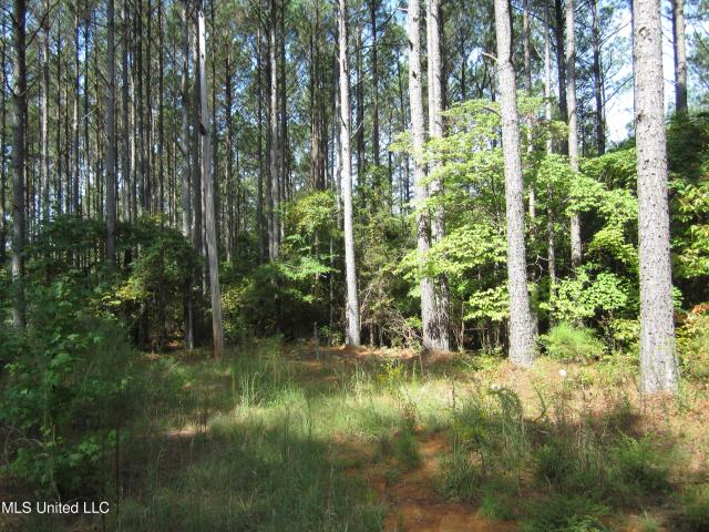 Pine Ridge Cove, Iuka, MS 38852