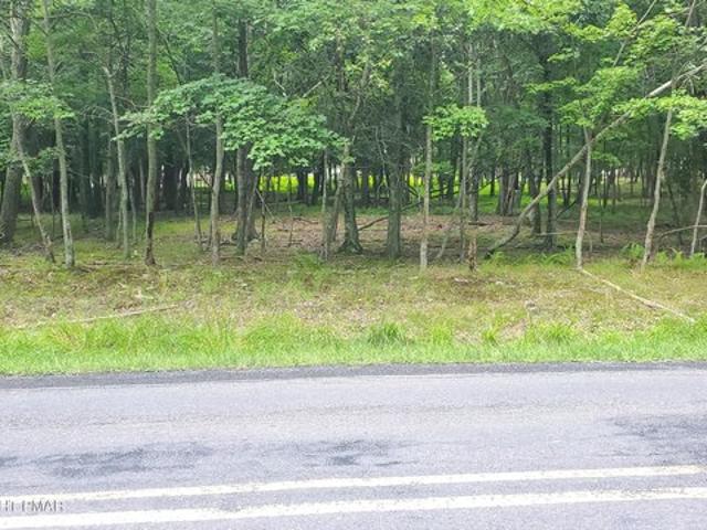 Pine Ridge Dr W Lot 95, Bushkill, PA 18324