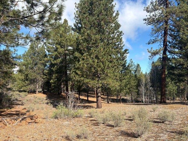 Pine Ridge Loop Lot 5, Chiloquin, OR 97624