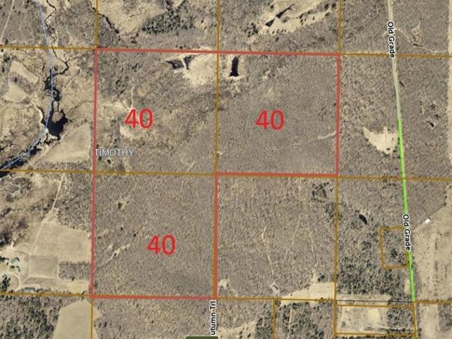 Pine River, MN 56474