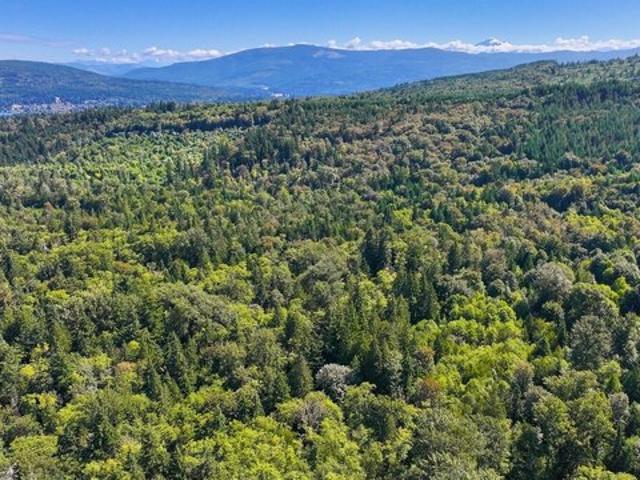 Pine St, Bellingham, WA 98225